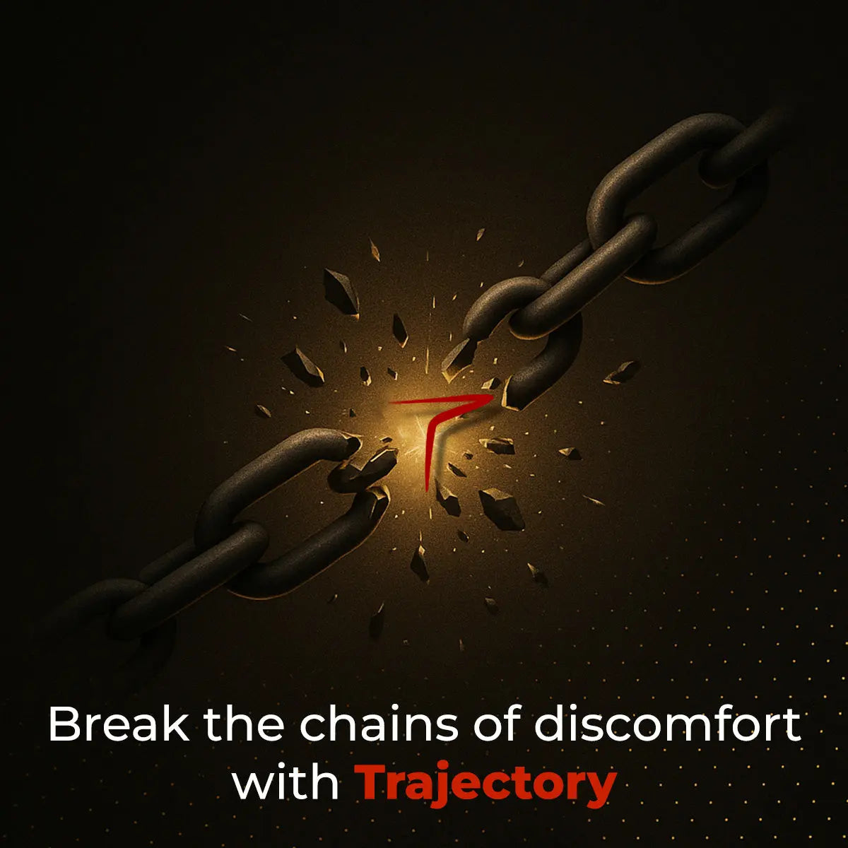 Trajectory Ultimate Travel Passport and Card Holder and Organiser